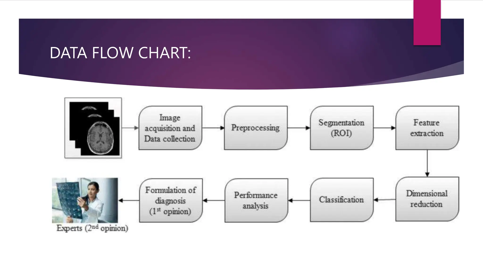 mini project ppt on brain tumor detection in human brain using mri ...
