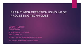 mini project ppt on brain tumor detection in human brain using mri ...