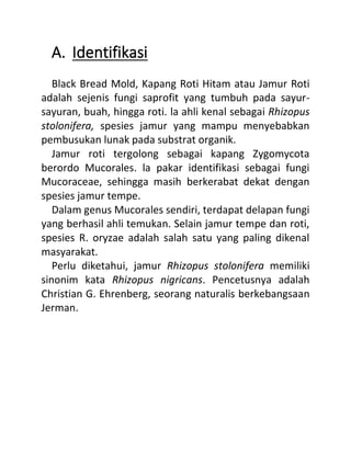 Mini Riset Jamur 🍄.pdf