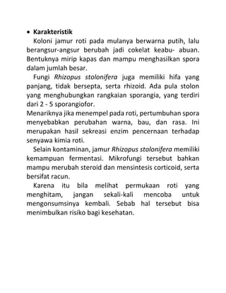 Mini Riset Jamur 🍄.pdf