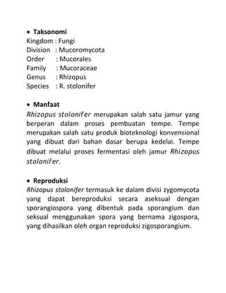 Mini Riset Jamur 🍄.pdf