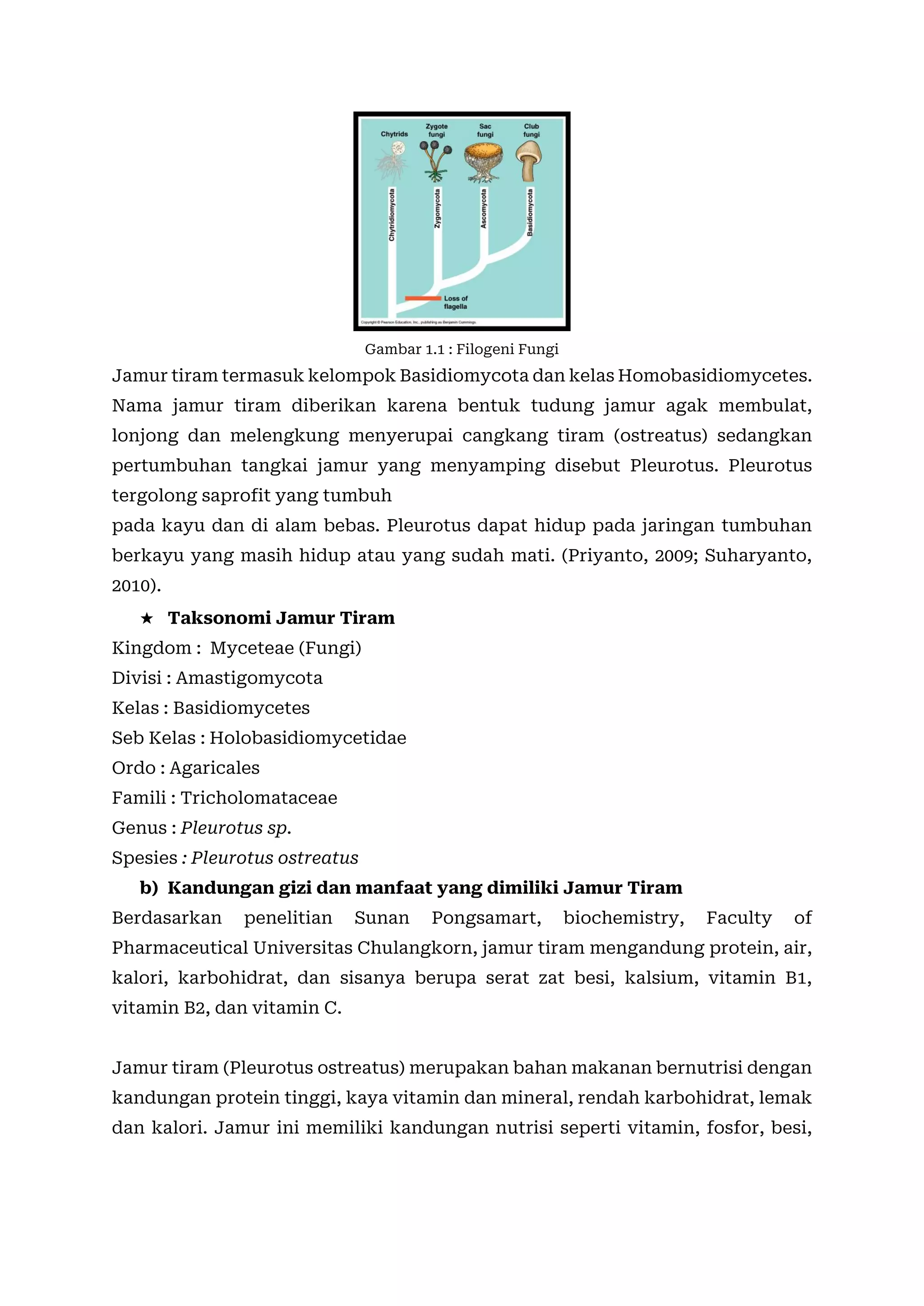 Mini riset jamur | PDF