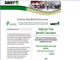 Horticulture and Garden Operations Mini Series: Why Trees Matter | PPTX