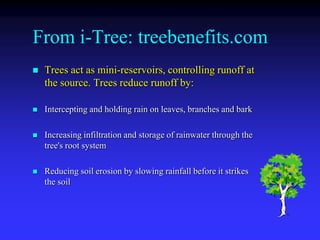 Horticulture and Garden Operations Mini Series: Why Trees Matter | PPTX