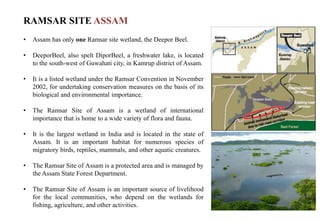 Environment Forest and Climate Change... | PPTX