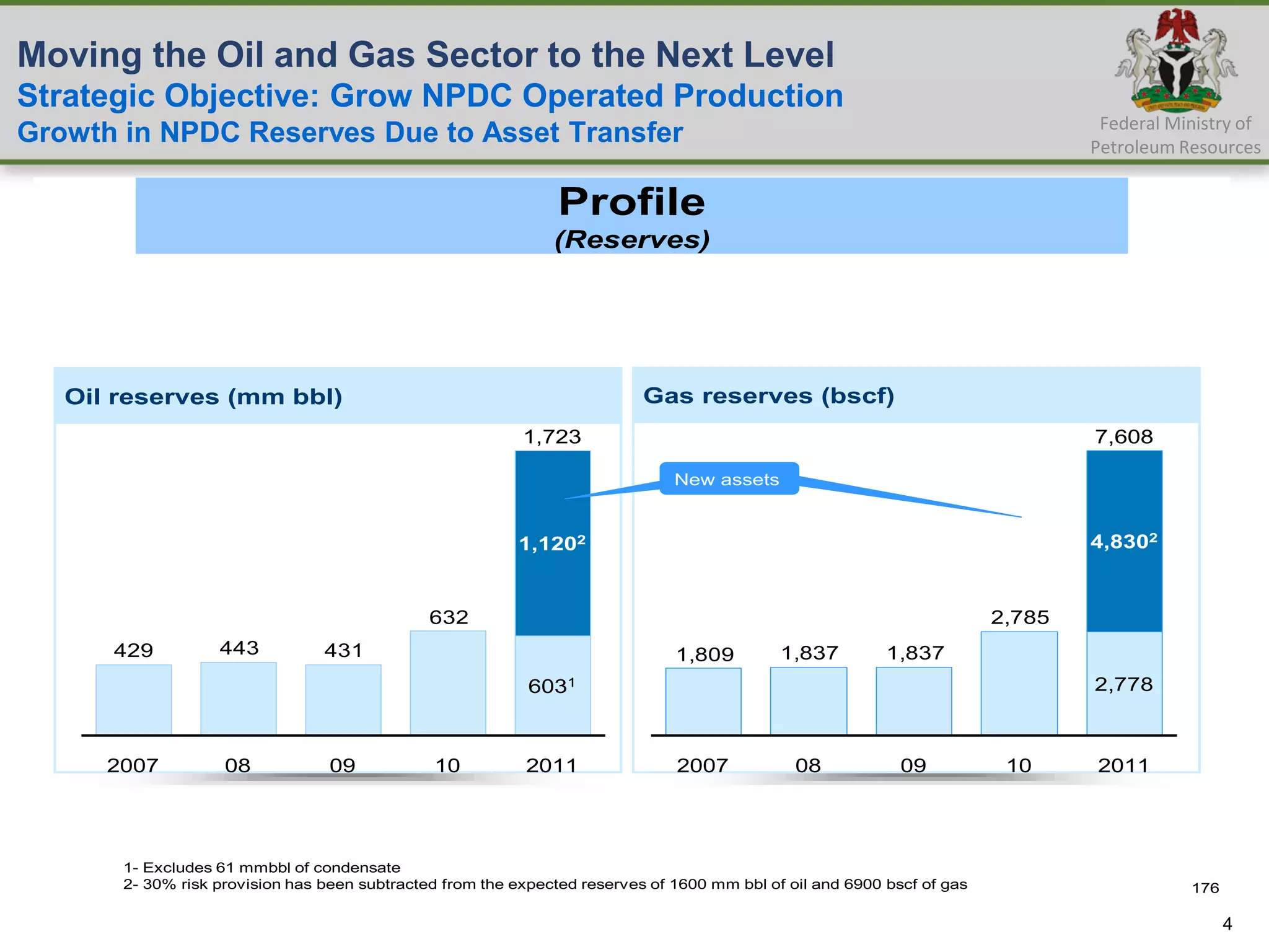 Ministry of Petroleum Resources | PDF