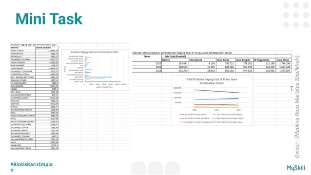 Mini Task SC Excel - Data Visualization.pptx