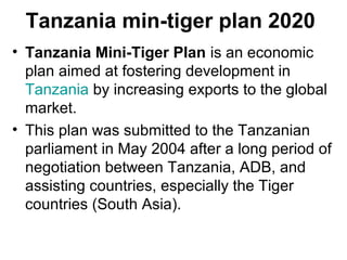 Mangasini_Mini tiger plan 2020 | PPT