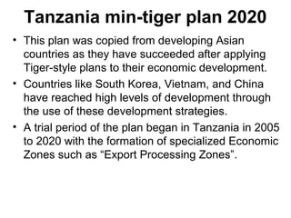 Mangasini_Mini tiger plan 2020 | PPT