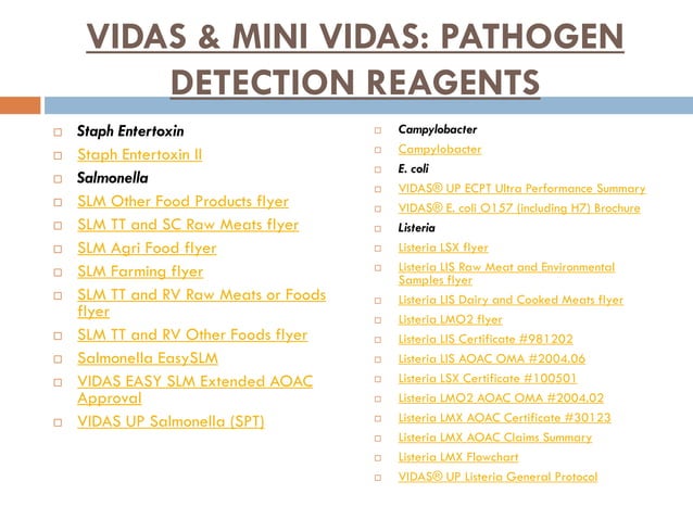 mini visd.pdf