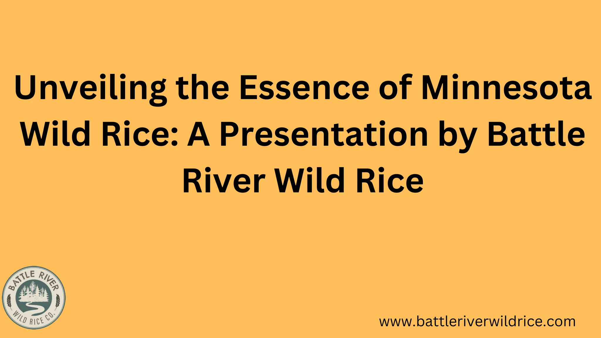 Minnesota Wild Rice by Battle River Wild Rice | PPT