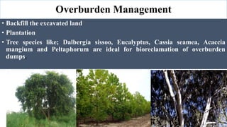 Minning waste management | PPTX