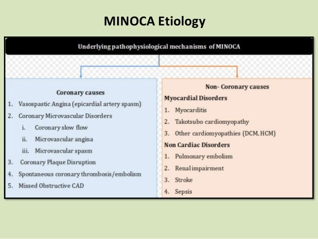 MINOCA , Myocardial Infarction vwith Non-Obstructive Coronary Arteri…