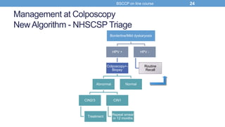 Minor abnormalities | PPT