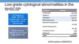 Minor abnormalities | PPTX | Cancer | Diseases and Conditions