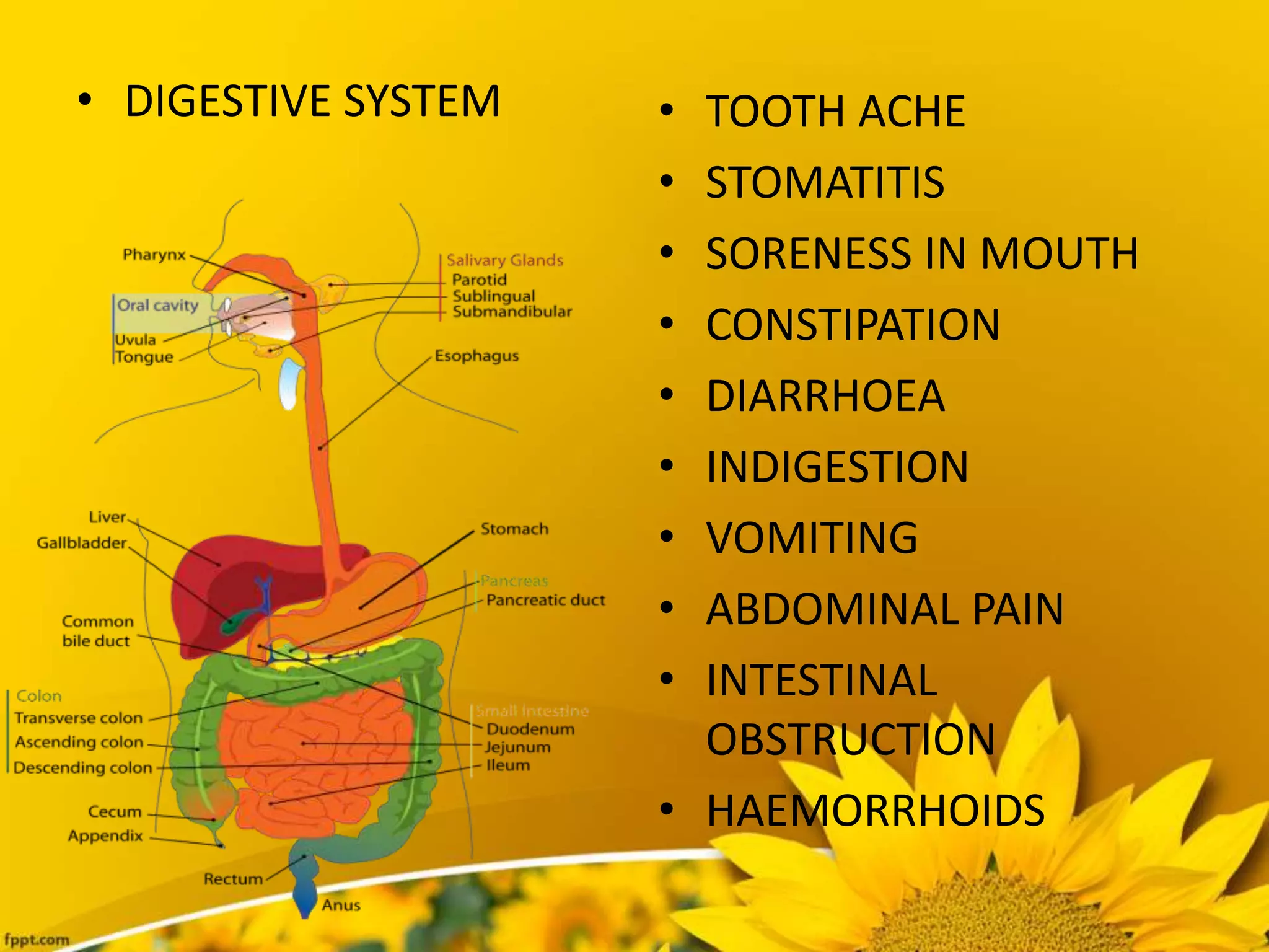 MINOR AILMENTS | PPTX