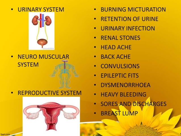 MINOR AILMENTS | PPTX