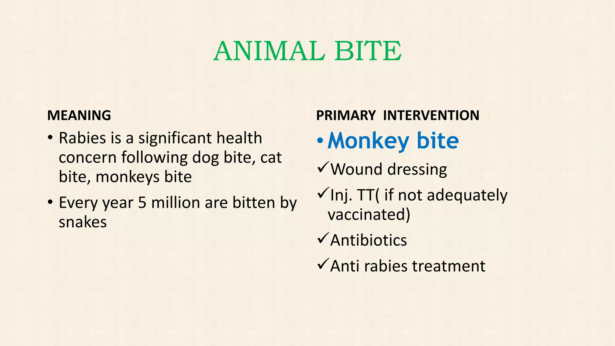 Minor ailments and standing orders | PPTX