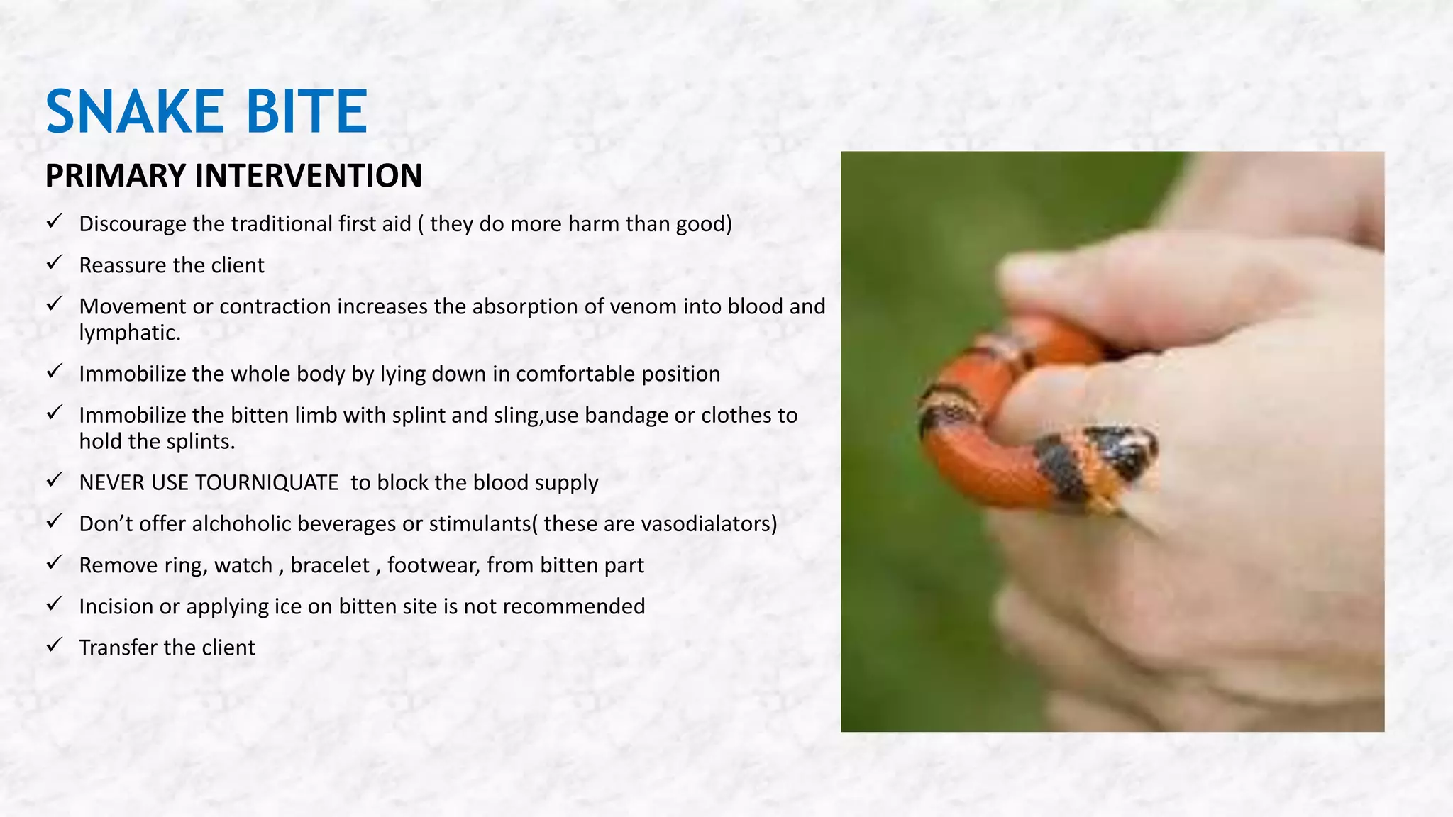 Minor ailments and standing orders | PPTX