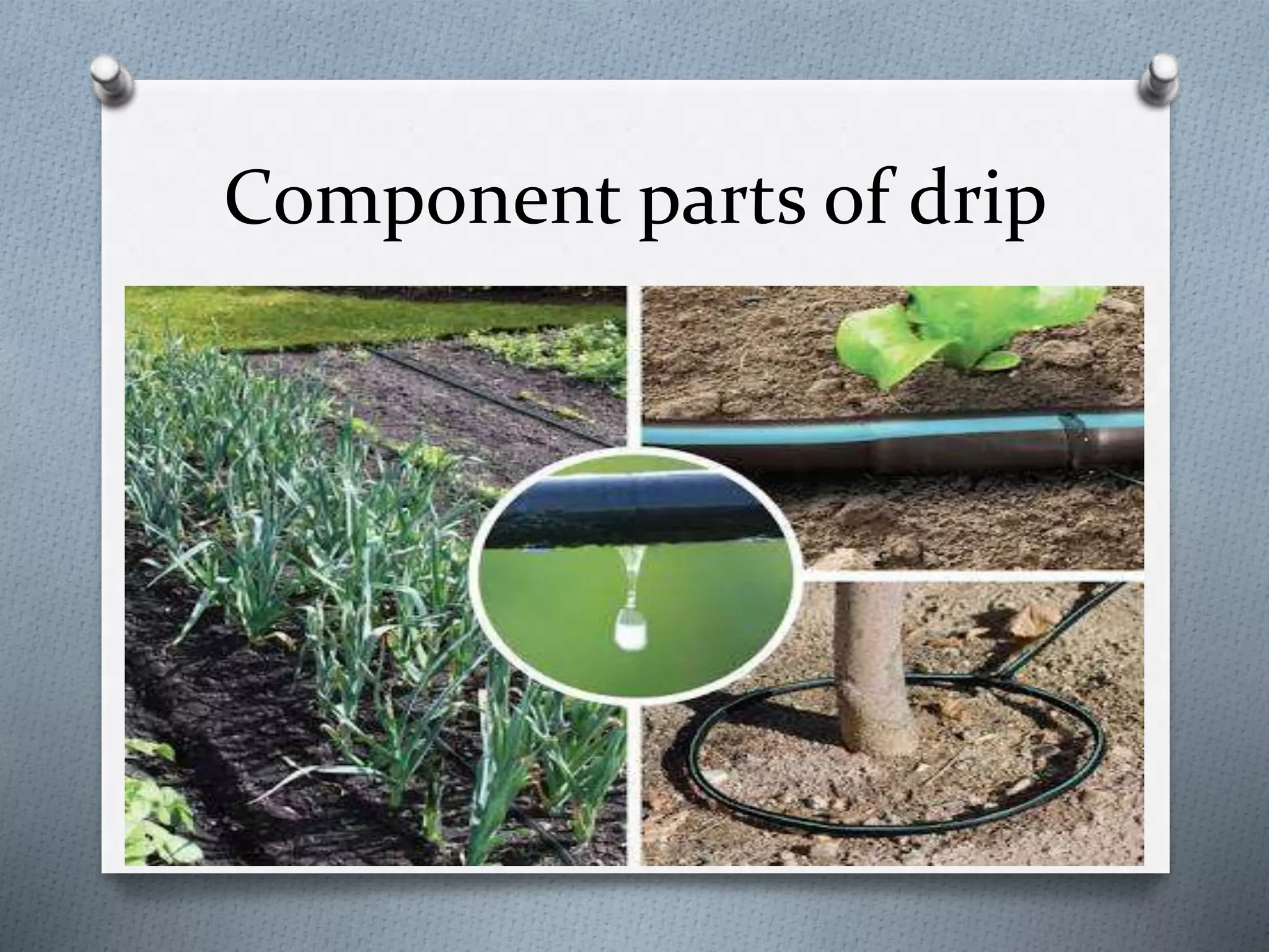 Minor and micro irrigation | PPTX