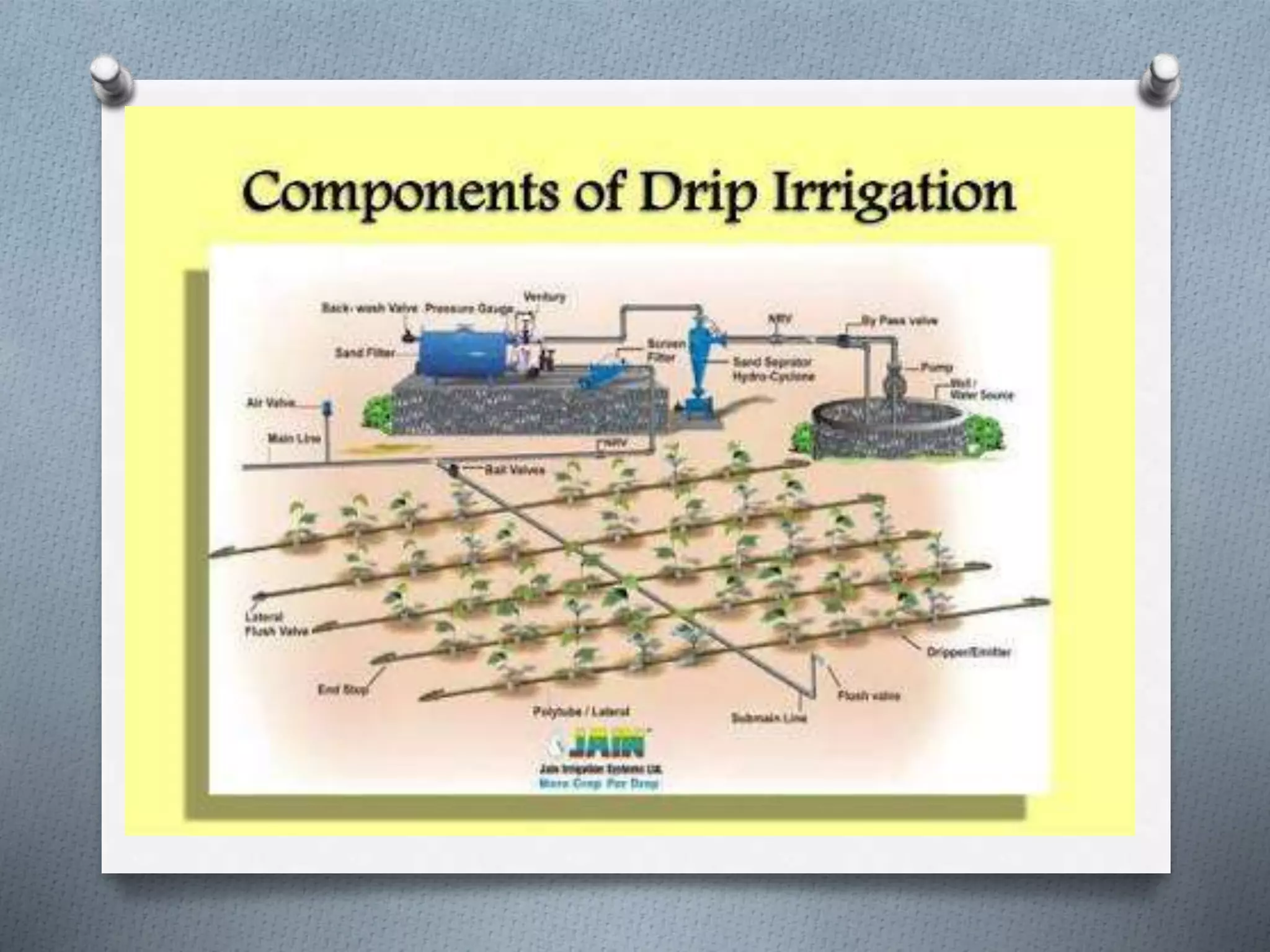 Minor and micro irrigation | PPTX