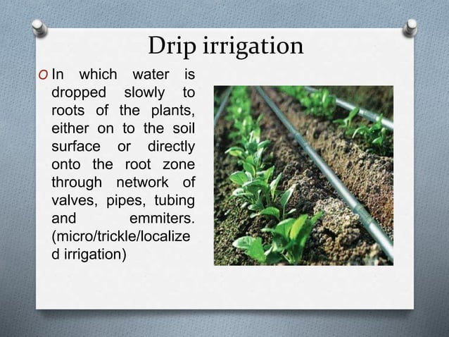 Minor and micro irrigation | PPTX | Agriculture | Industries