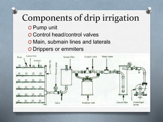 Minor and micro irrigation | PPTX