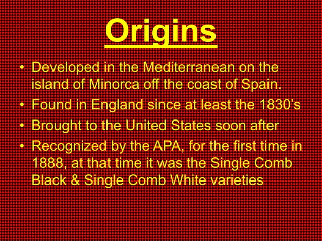 Minorca: Poultry breed | PPT