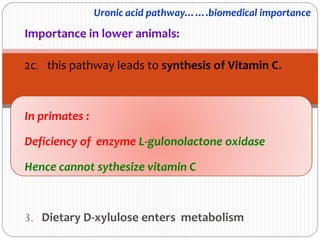 Minor carbohydrate pathways _240426_173240.pdf