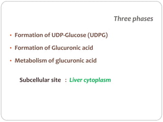 Minor carbohydrate pathways _240426_173240.pdf