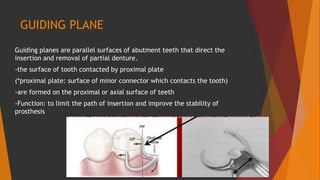 Minor connectors | PPT