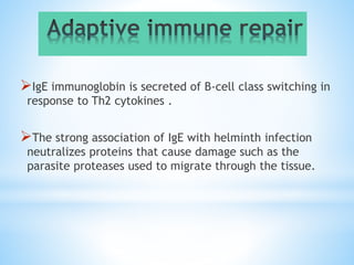 IMMUNITY AGAINST HELMINTHS | PPTX
