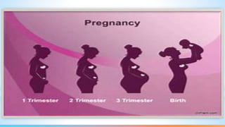 Minor discomfort during pregnancy g 1.pptx