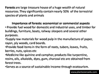 Minor Forest Products (MFPs) | PPTX