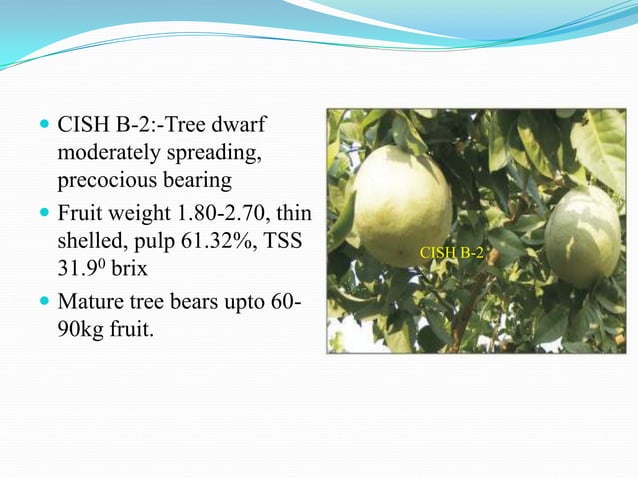 Minor fruits1 | PPTX | Gardening | Home & Garden