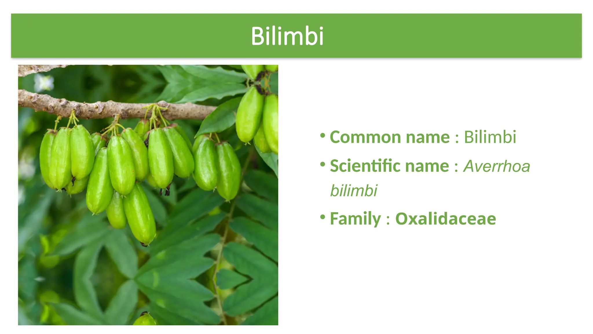 minor fruits of horticultural crops.pptx