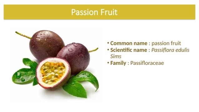 minor fruits of horticultural crops.pptx | Agriculture | Industries