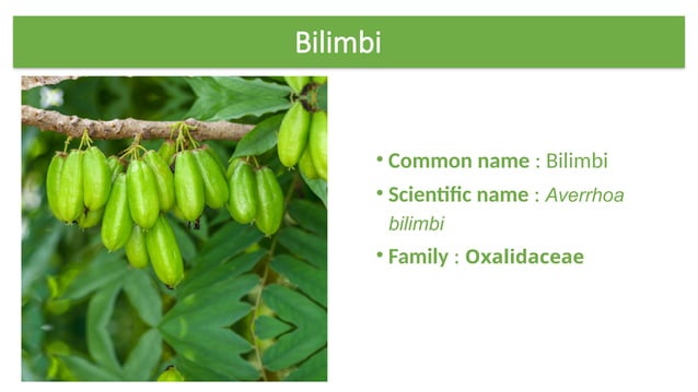 minor fruits of horticultural crops.pptx | Agriculture | Industries