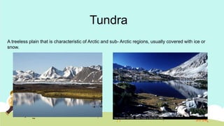 Minor landforms | PPTX