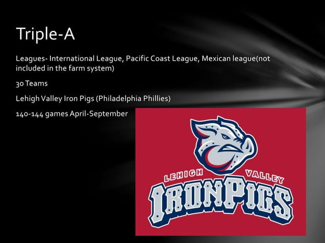 Minor league baseball system | PPT