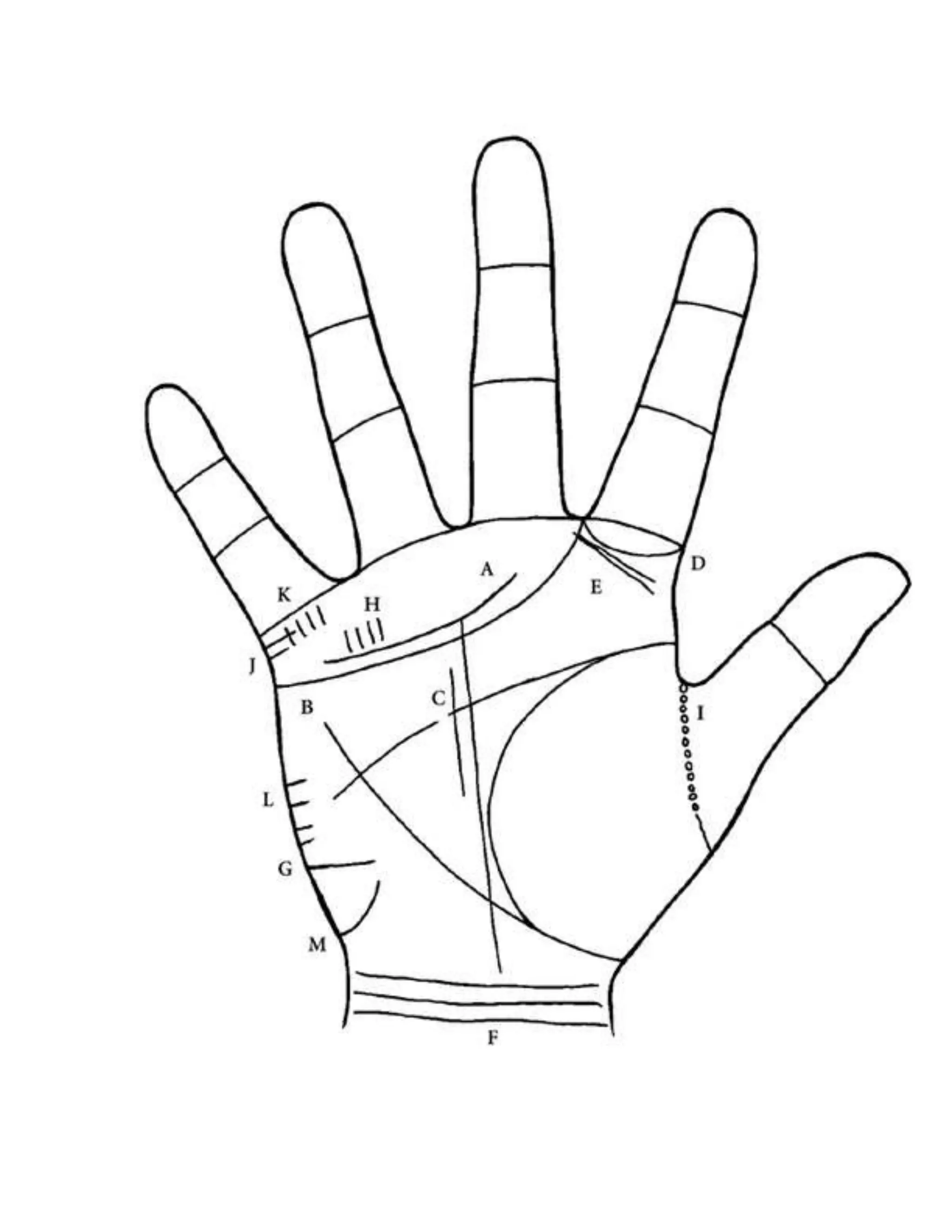 Minor lines at hands palmistry . | DOCX | Digestive Disorders ...