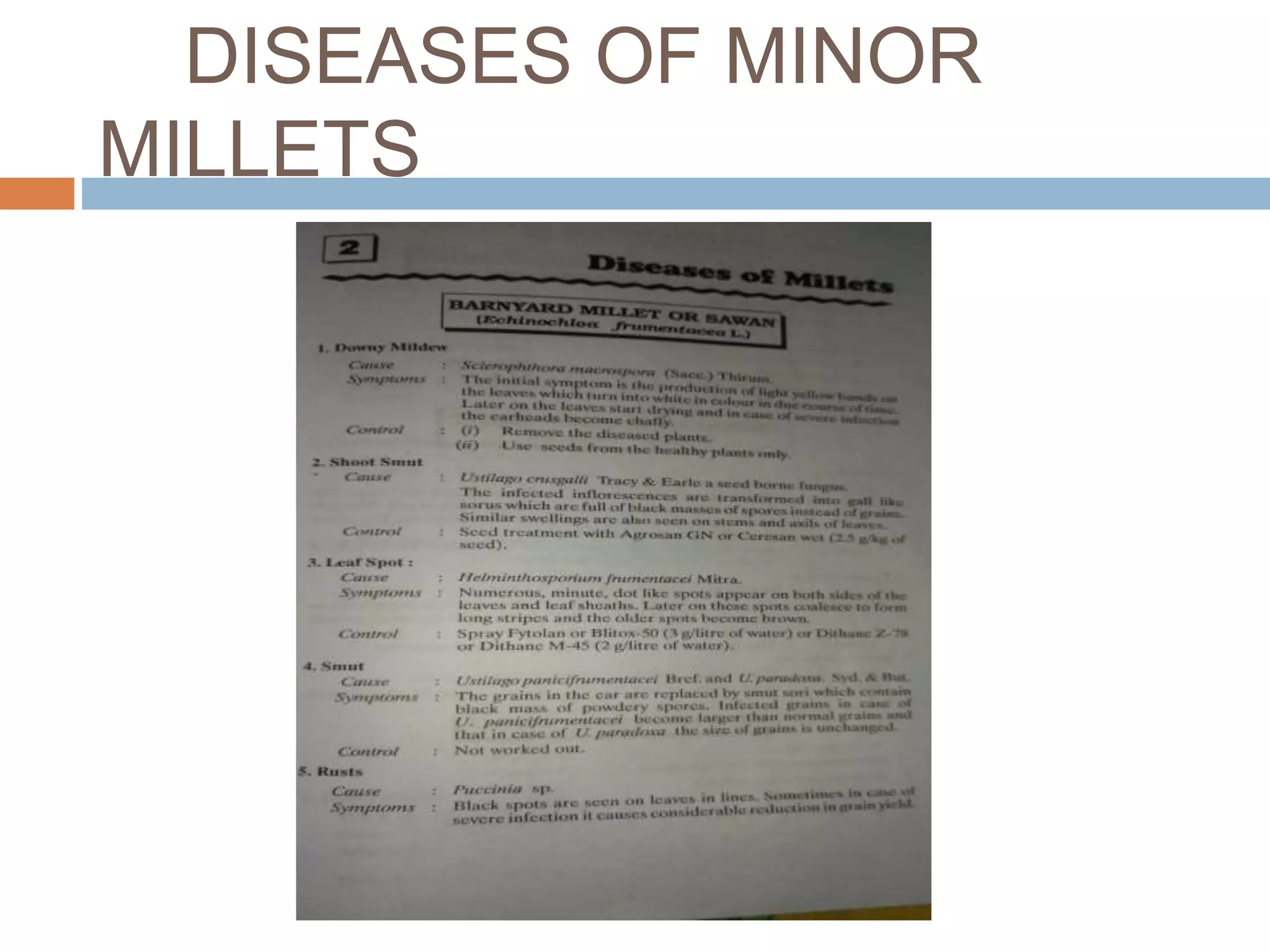 Minor millet | PPTX