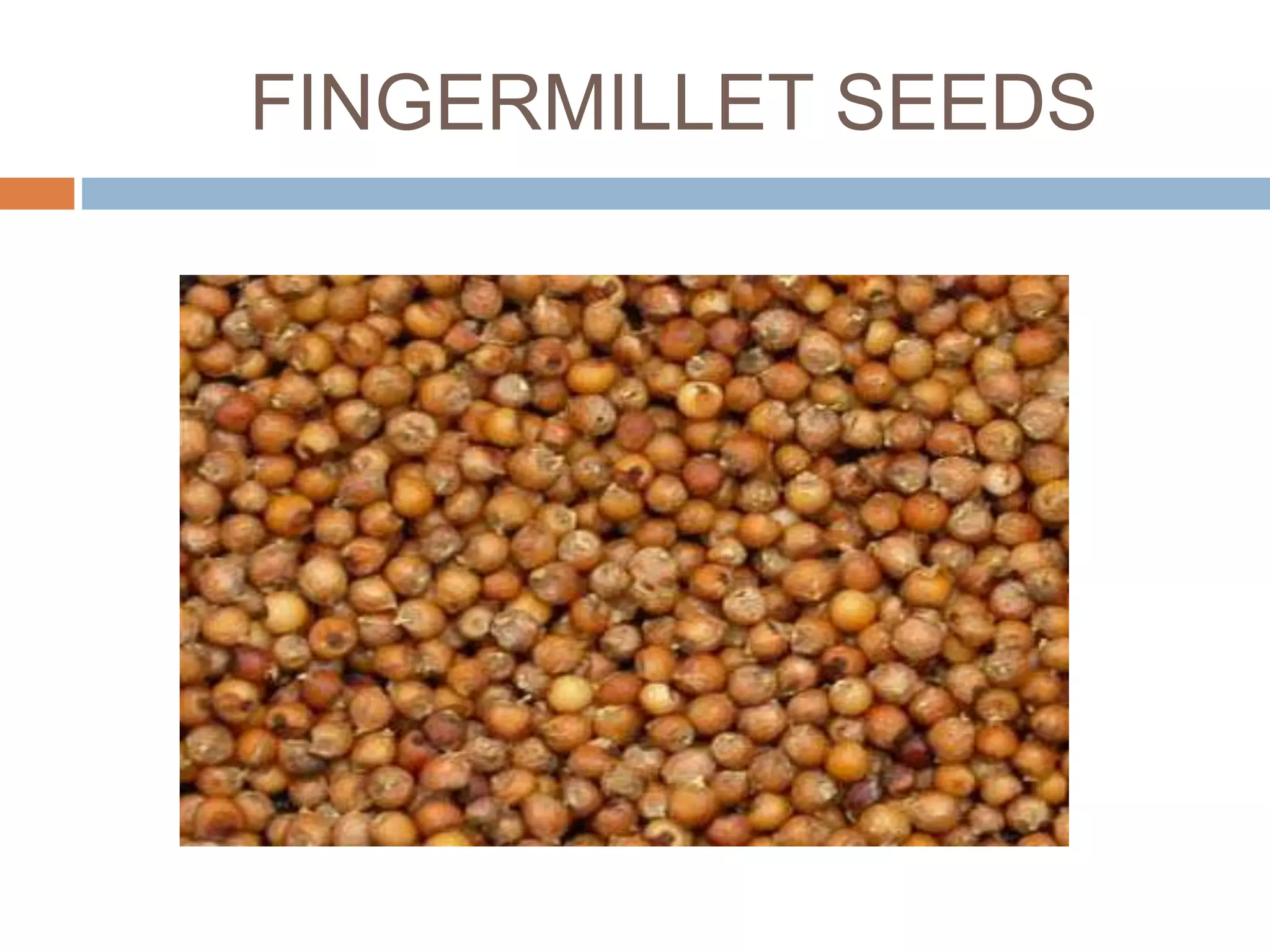 Minor millet | PPTX