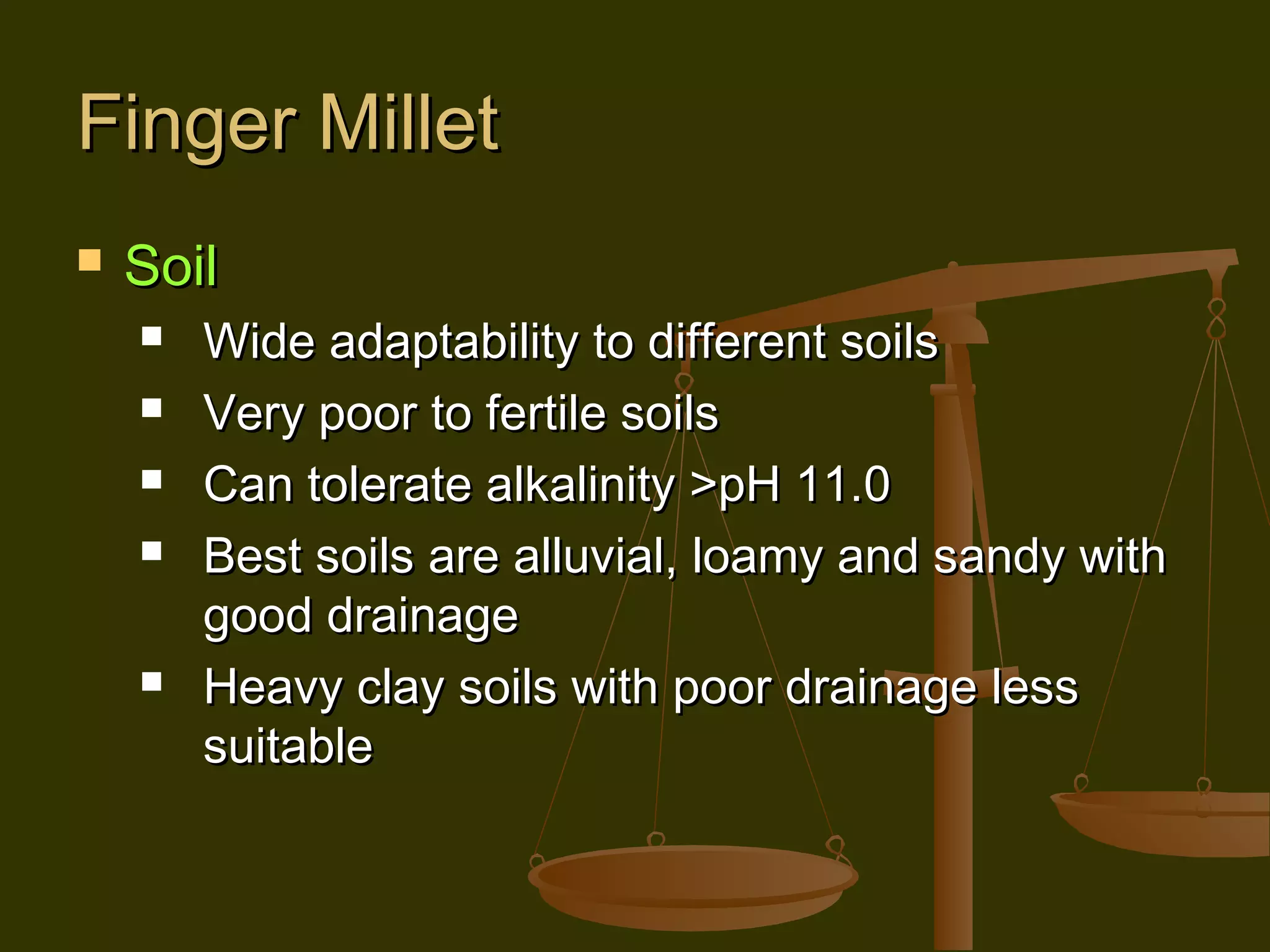 Minor millets | PPT