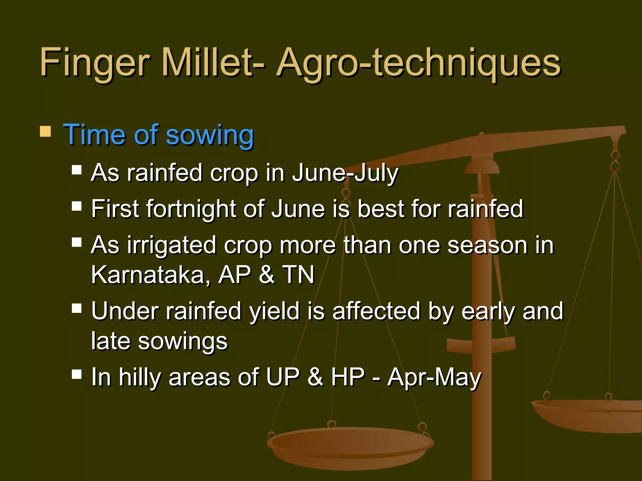 Minor Millets Ppt