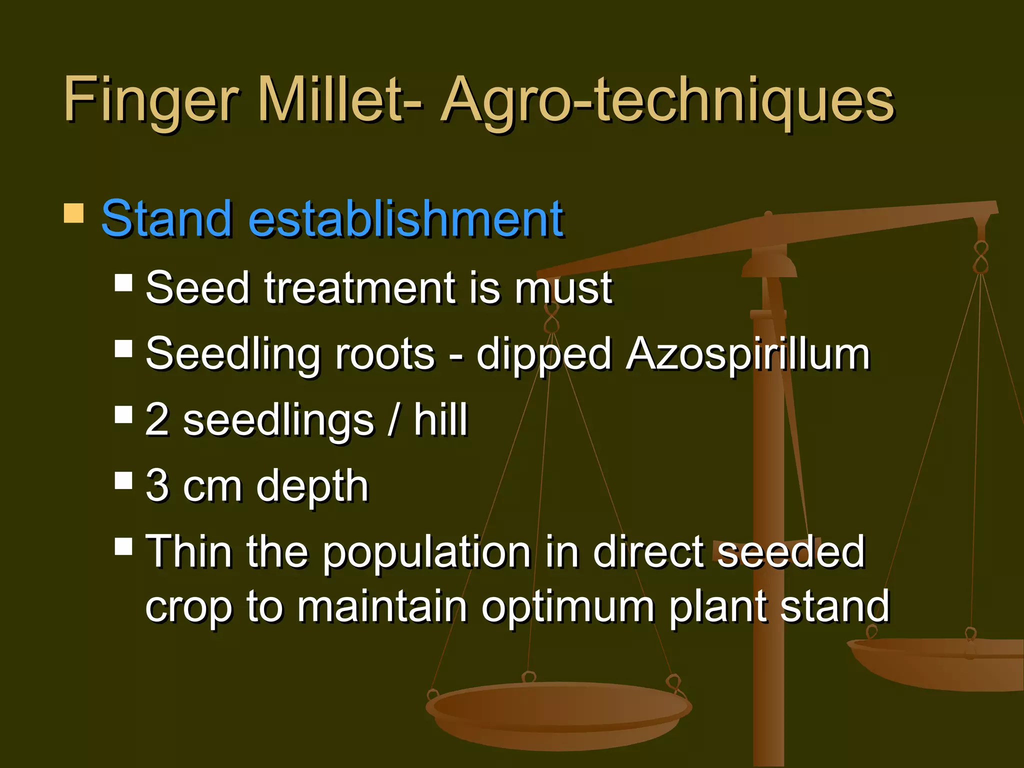Minor millets | PPT