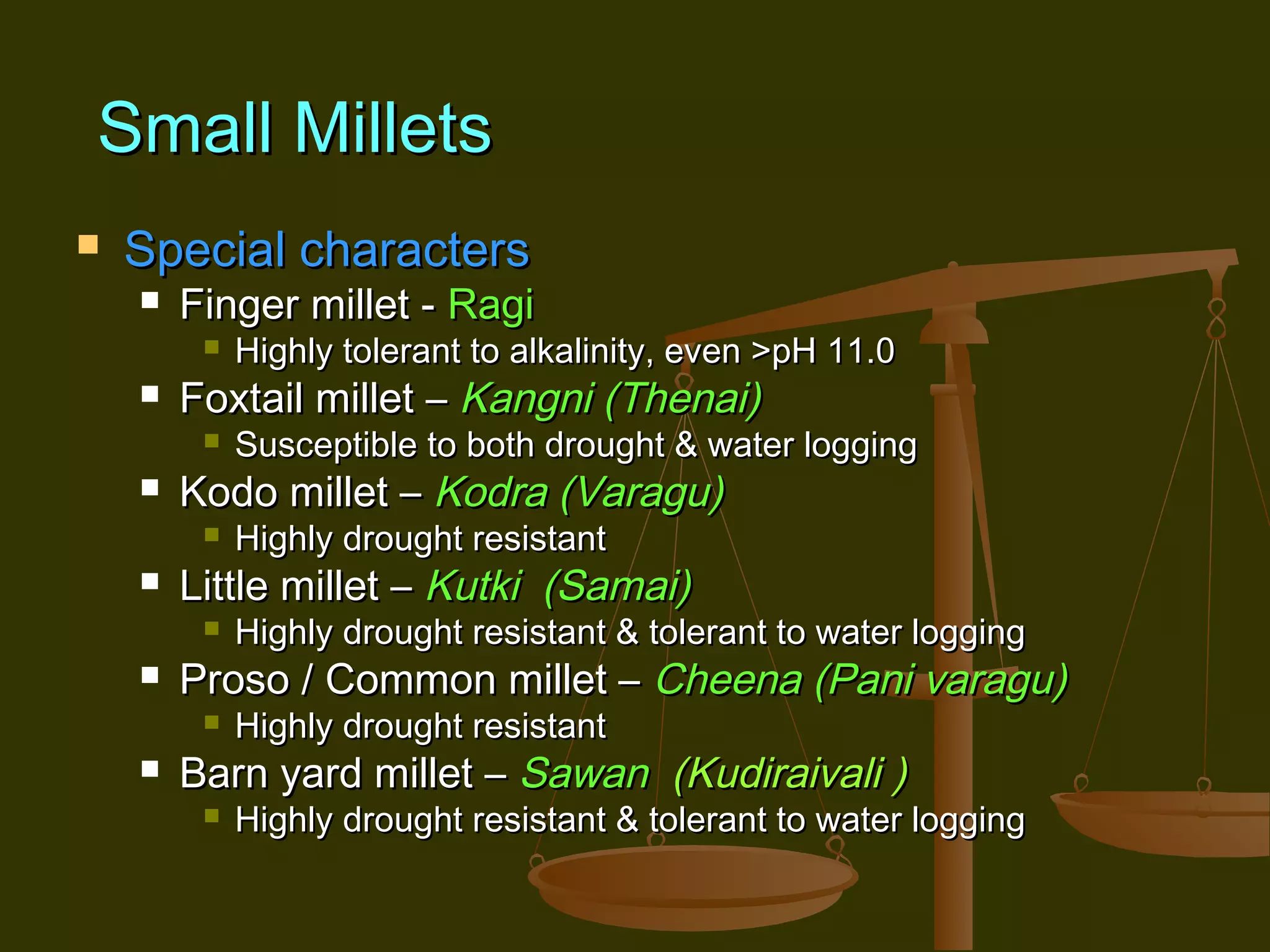 Minor millets | PPT