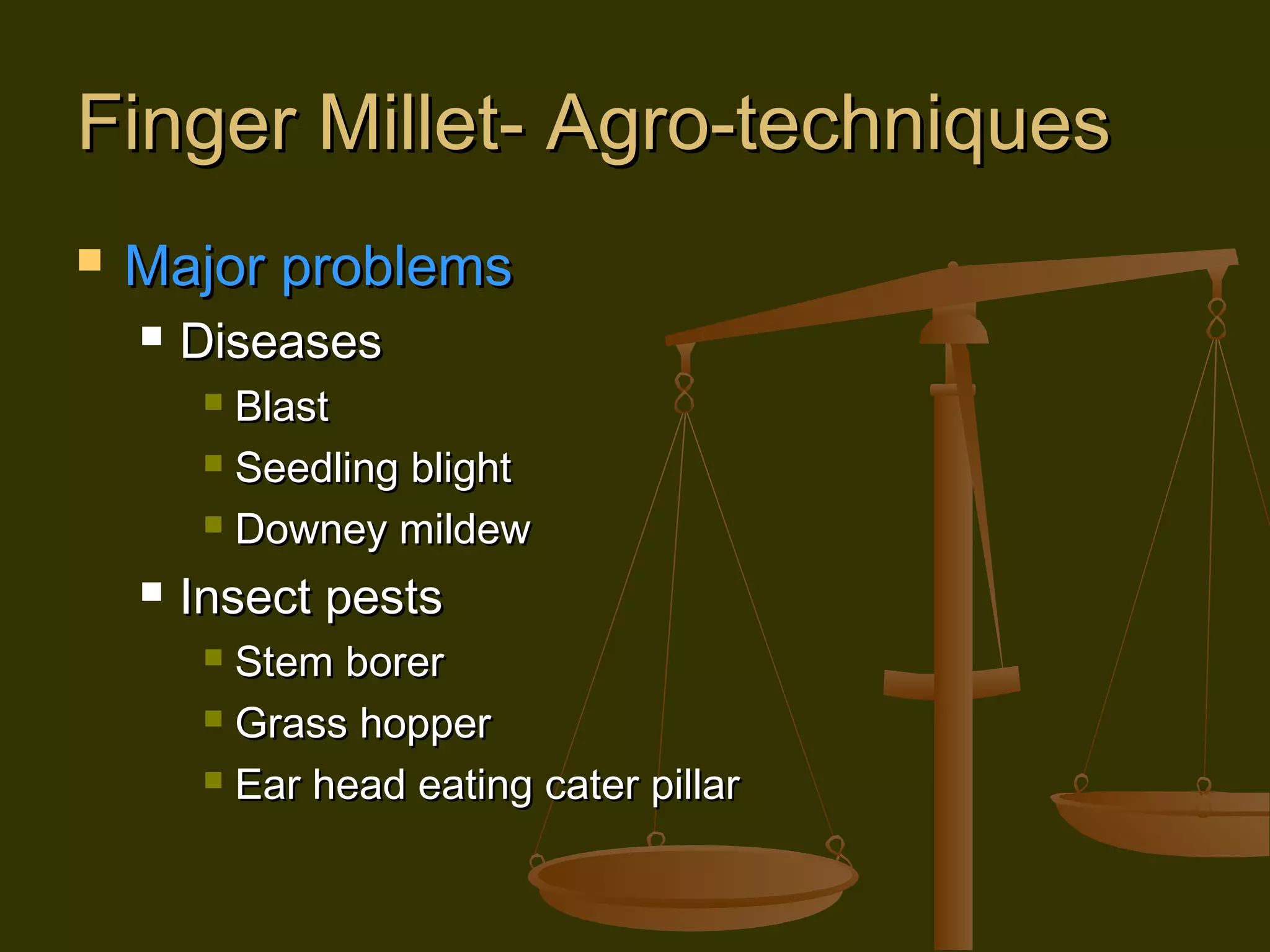 Minor millets | PPT