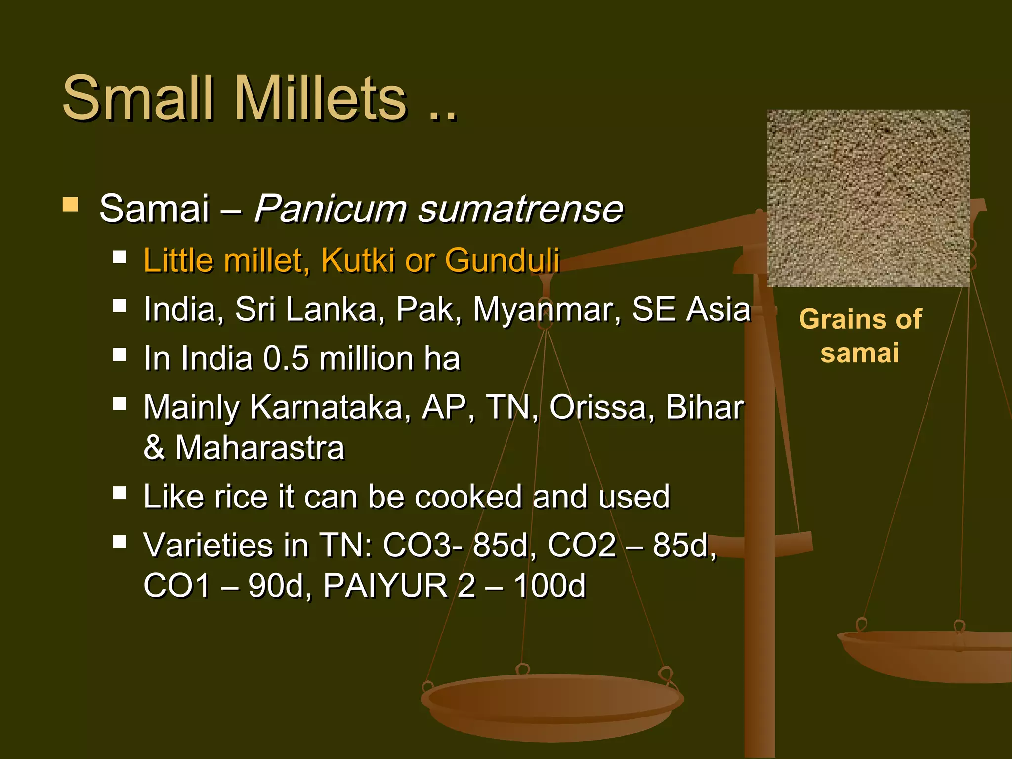 Minor millets | PPT