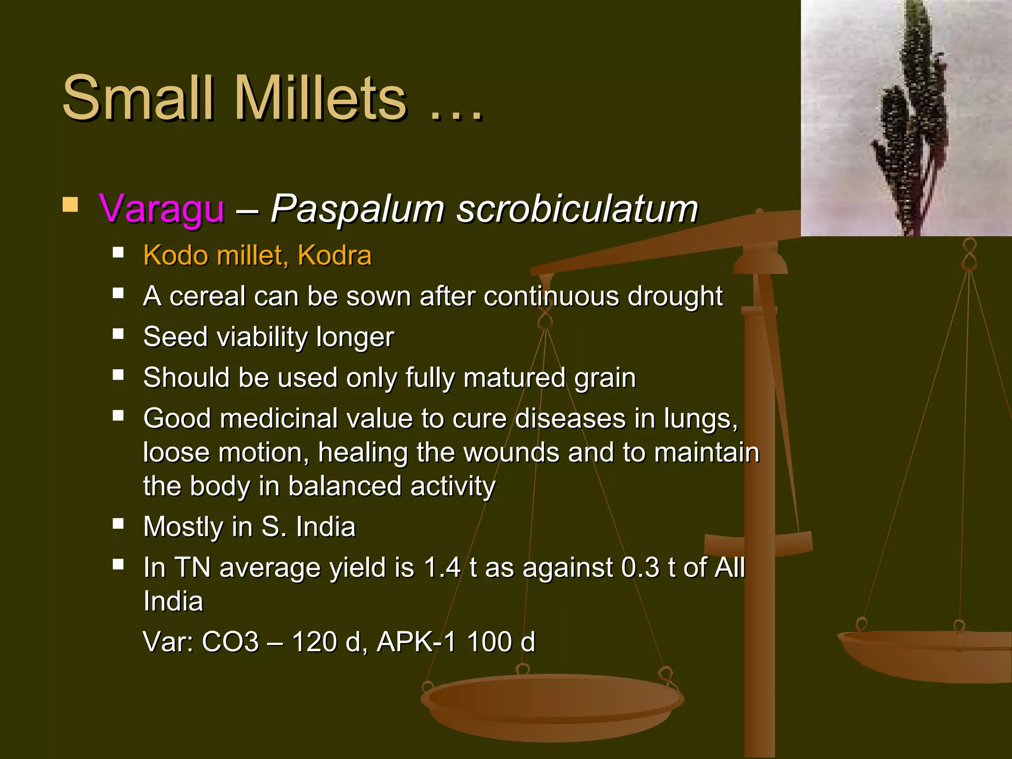 Minor millets | PPT